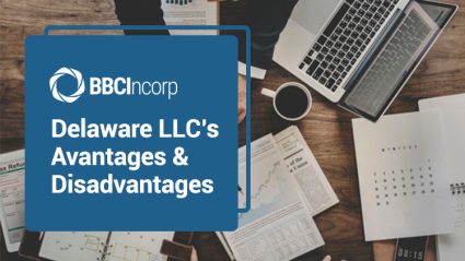 Top 8 Delaware LLC Benefits You Should Get To Know
