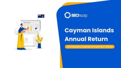 Cayman Annual Returns For Exempted Companies As Investment Vehicle