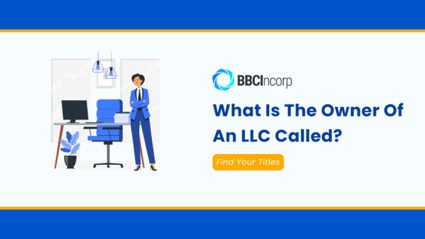 What is the Owner of an LLC Called? LLC Owner Titles | BBCIncorp - Offshore