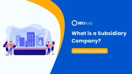 What is a Subsidiary Company? Definition & Examples | BBCIncorp Offshore