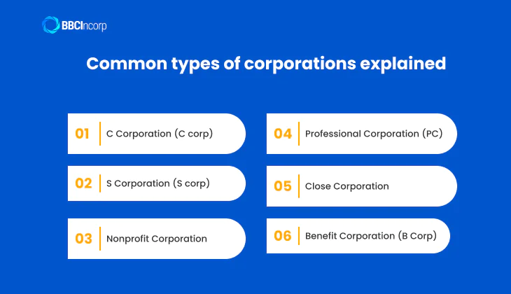6 Types Of Corporations: Different and Examples Detailed | BBCIncorp ...