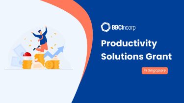 Singapore Productivity Solutions Grant (PSG): General Information ...